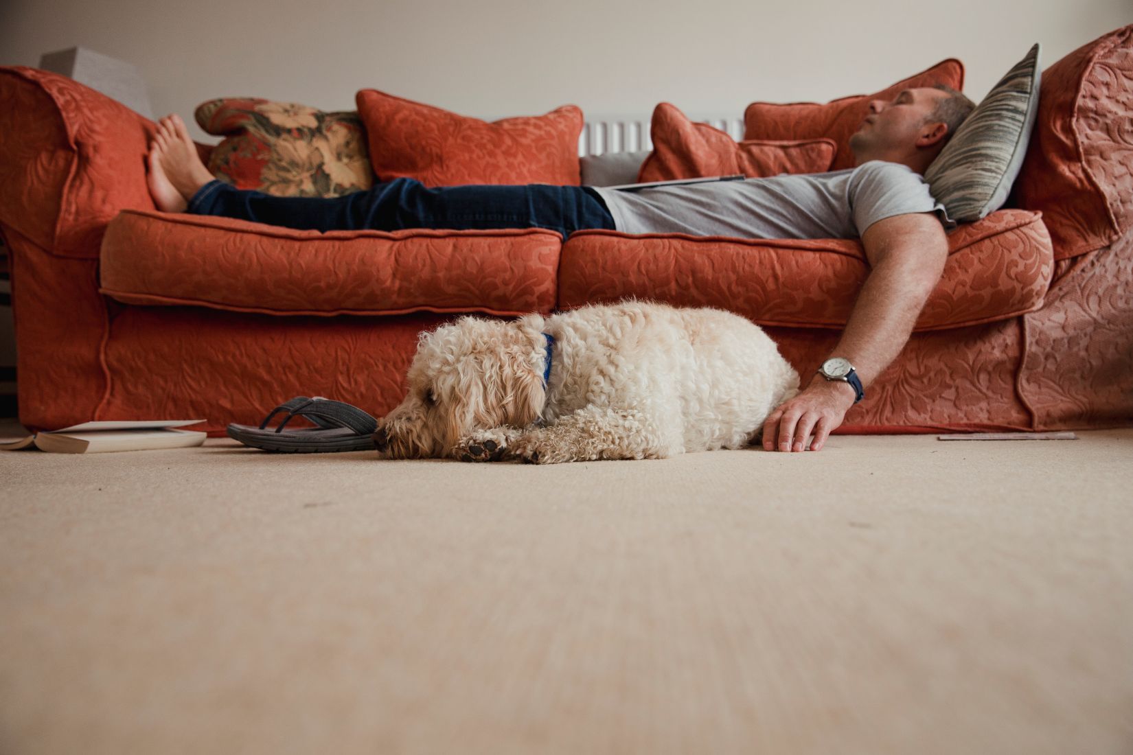 Do Dogs Need Naps