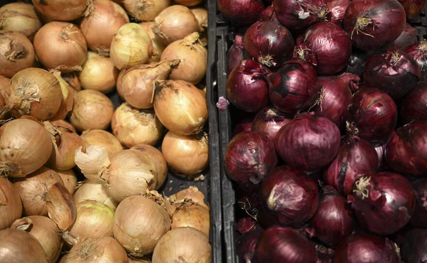 why does onions have layers