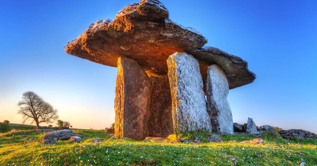 Preview of Wild Ireland: Kingdom of Stone