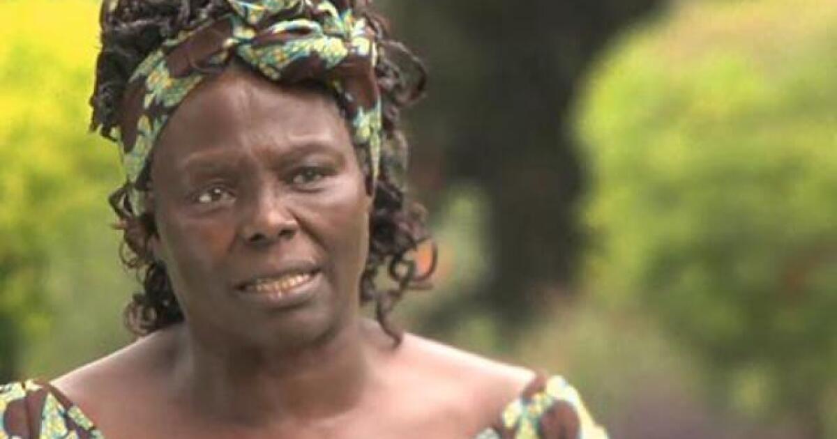Good Fortune: Wangari Maathai, Kenyan Environmentalist