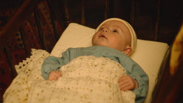 All Creatures Great and Small