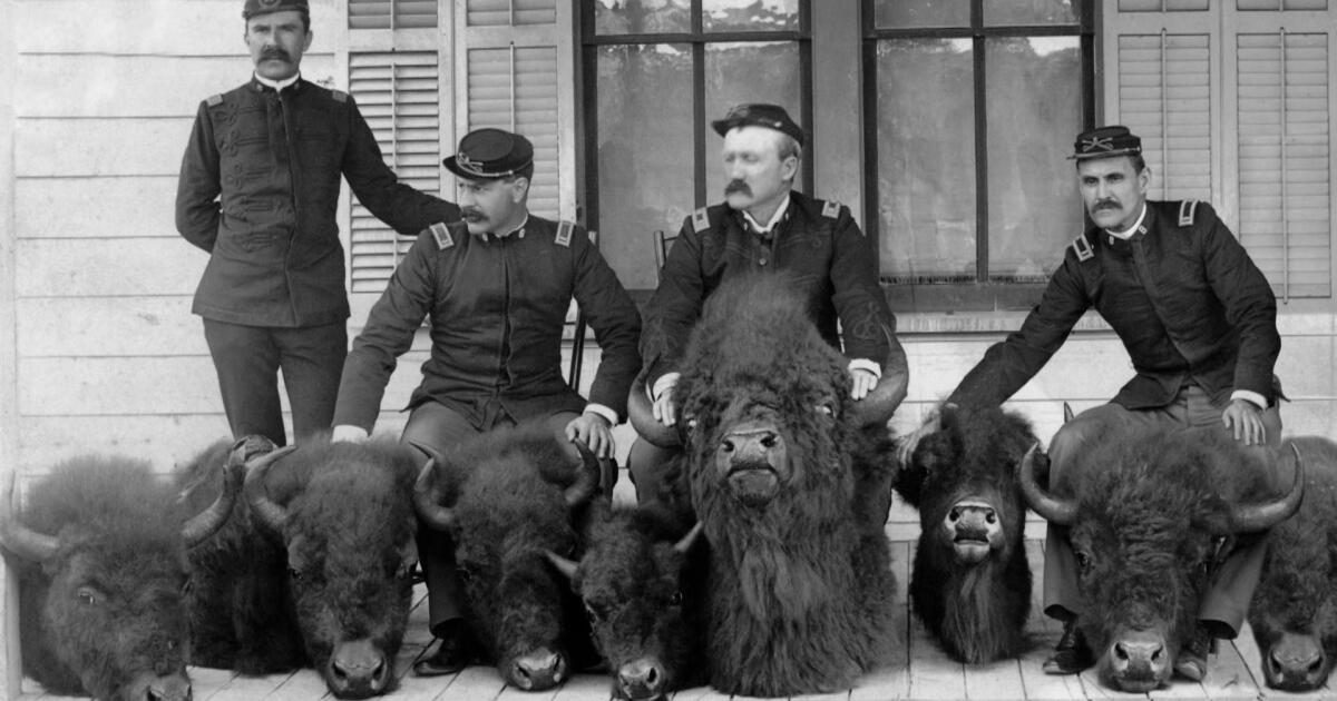 George Bird Grinnell and Early Conservation Efforts