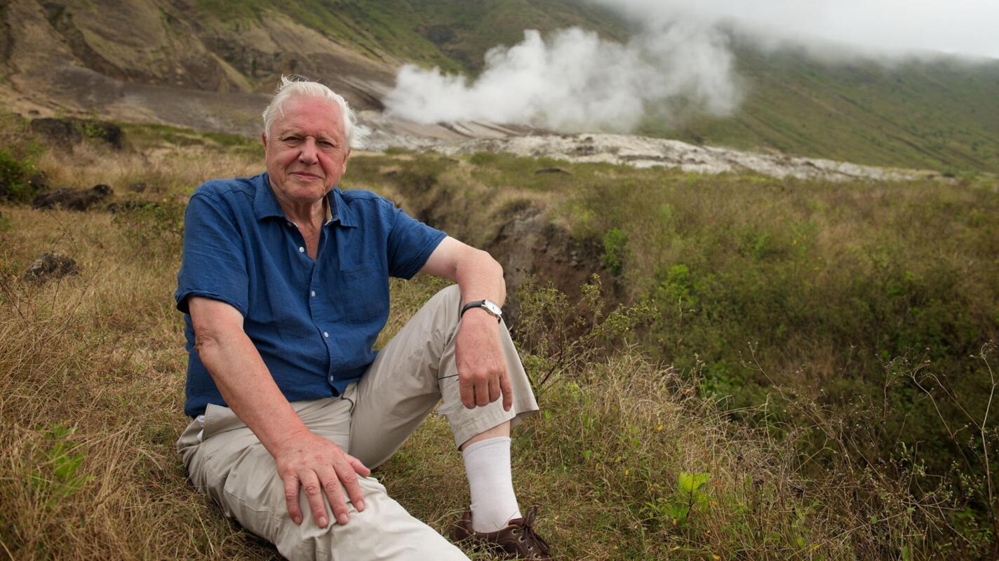 Watch Nature from PBS online