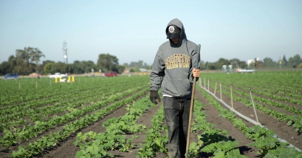 Como Vivimos (How We Live) | Preview