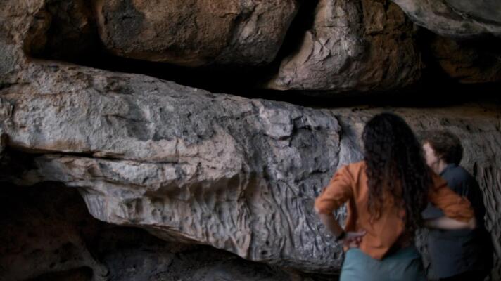 Watch NOVA from PBS online