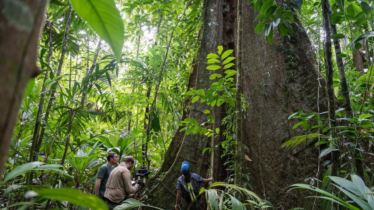 Watch NOVA from PBS online