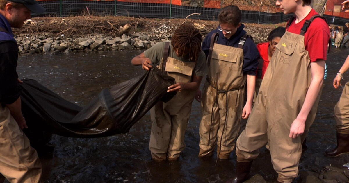 The Eel Project