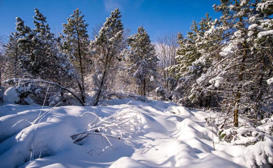 Woniya Thibeault survived extreme cold and isolation to become a winner