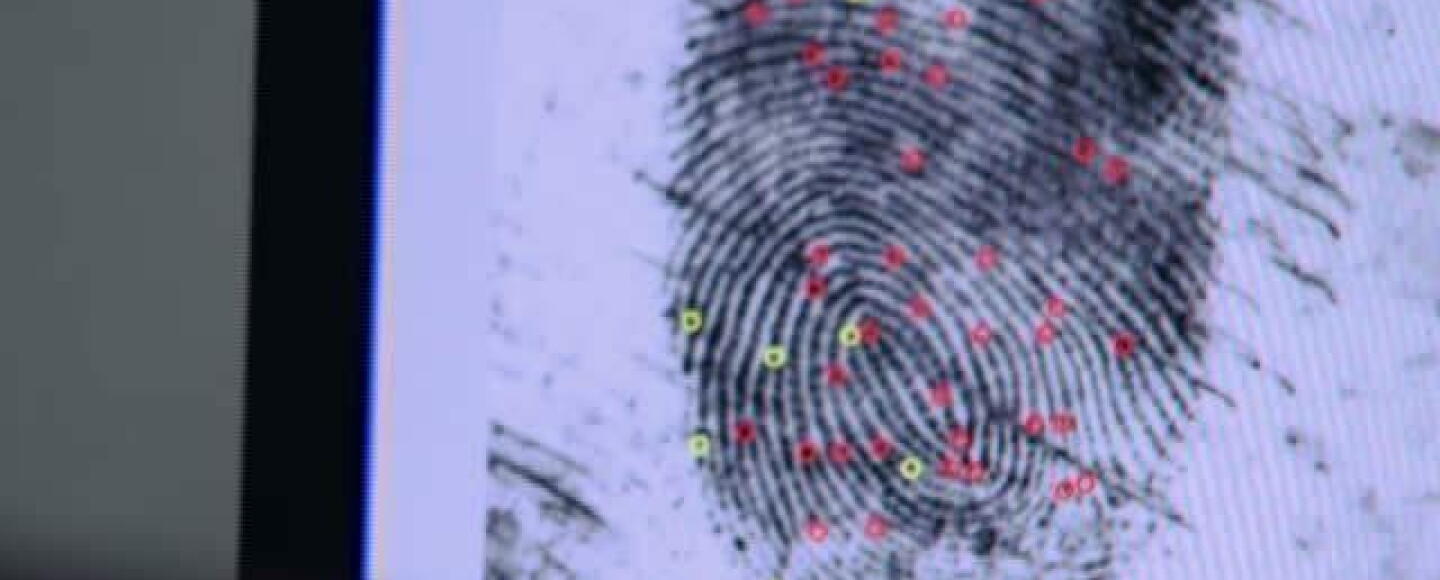 The Real CSI Preview
