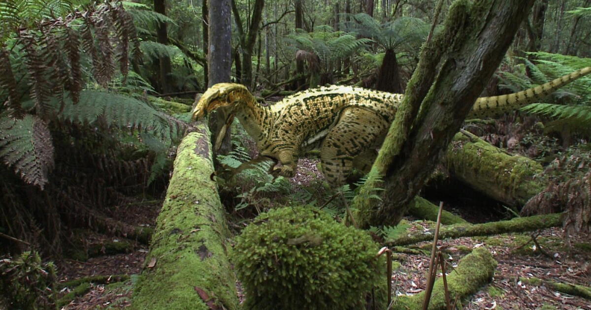 Australia: Monsters Preview
