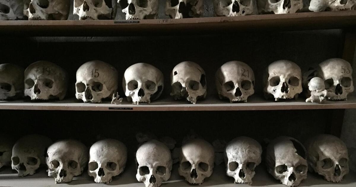 The Next Pompeii Preview