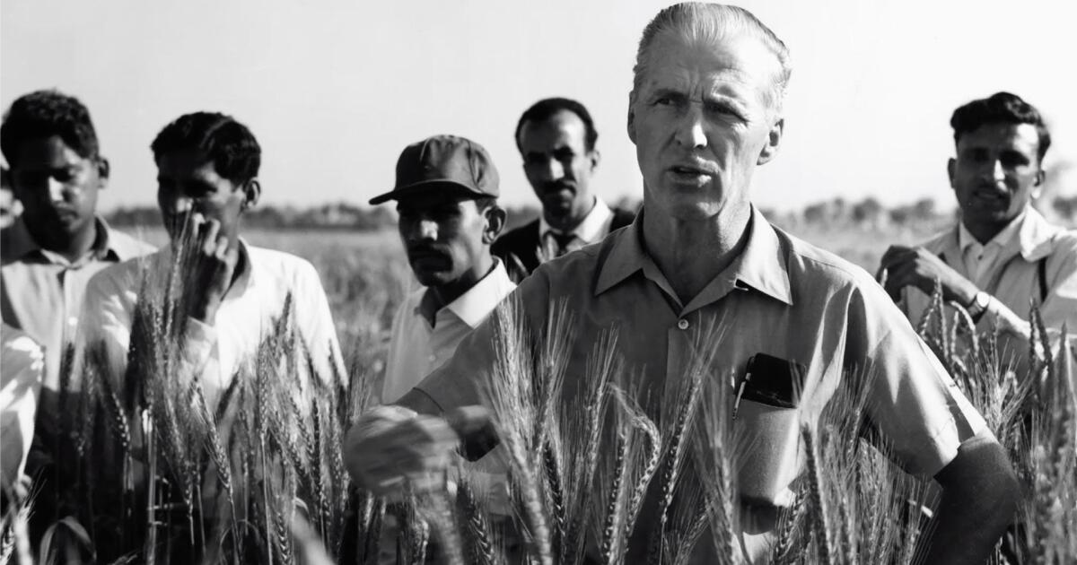 Trailer | The Man Who Tried to Feed the World