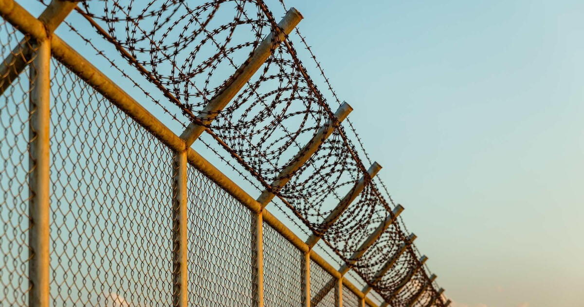 "Life on Parole" - Preview