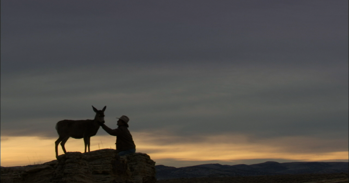 Trailer: Touching the Wild