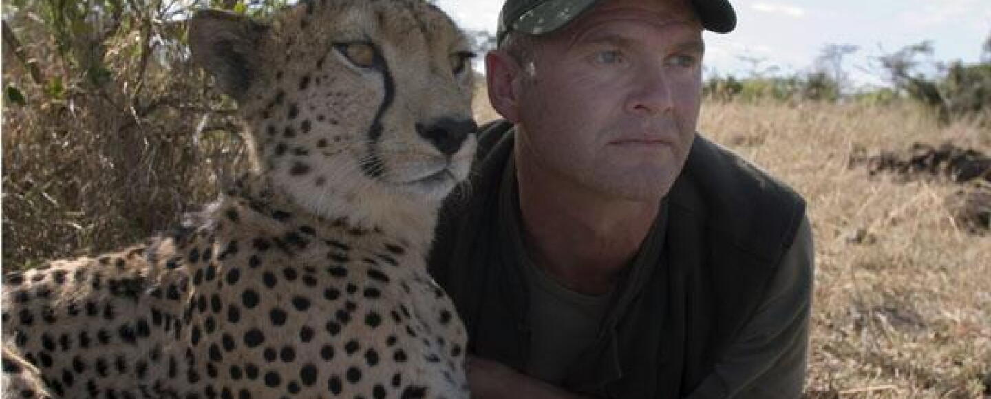 The Cheetah Orphans - Preview