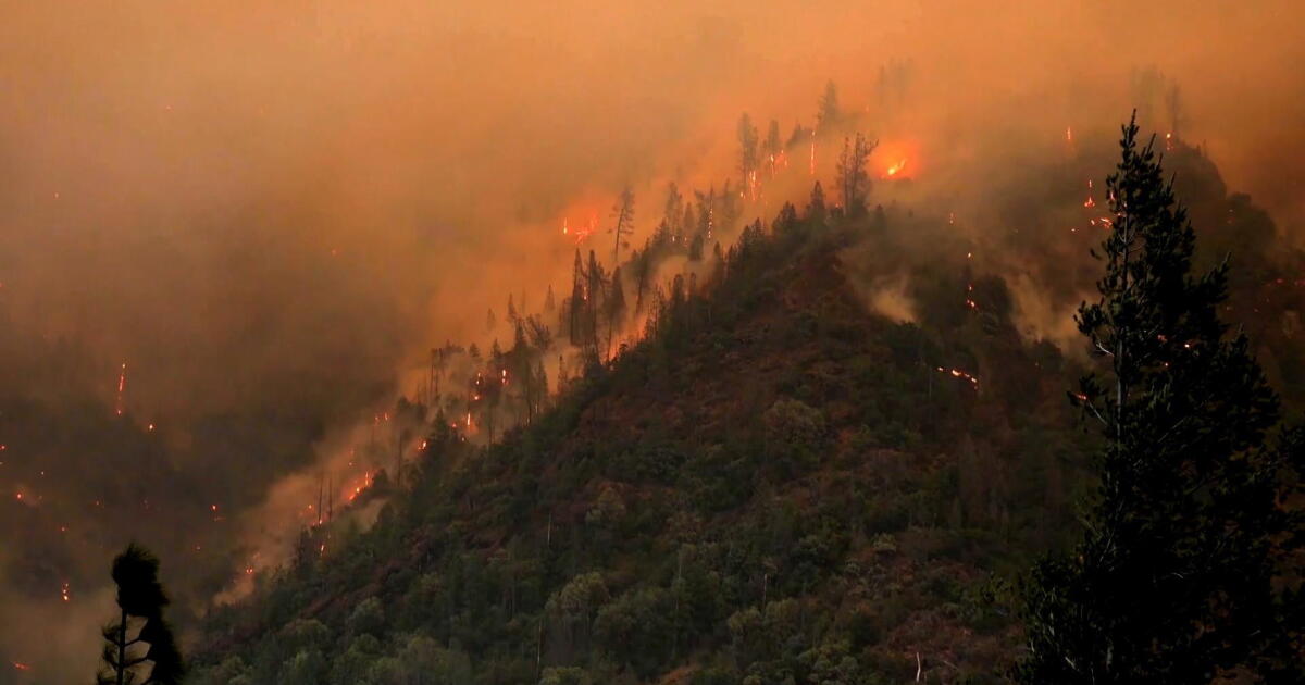 How Did the Camp Fire Start and Spread?