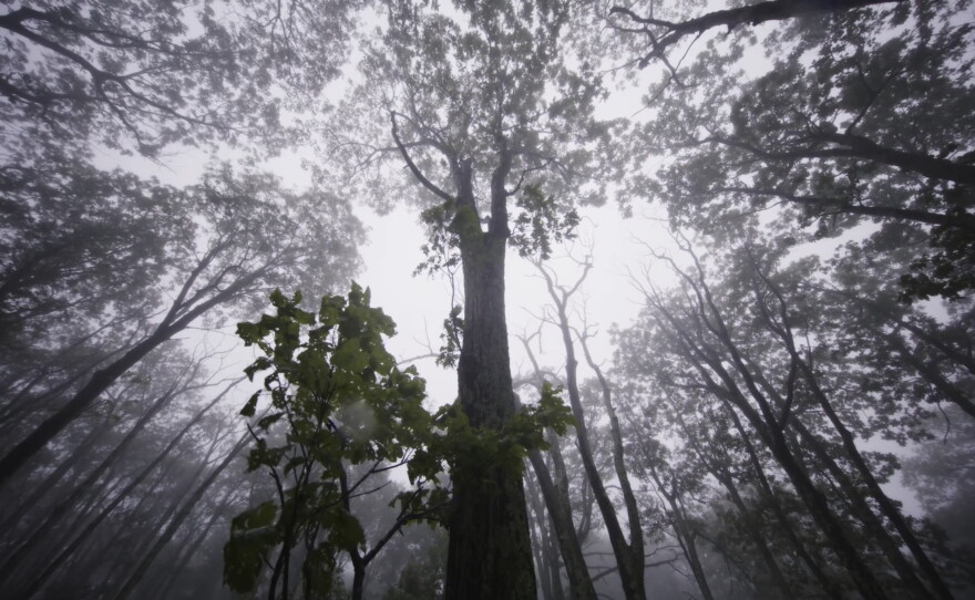 Shenandoah Documentary Premieres on VPM PBS