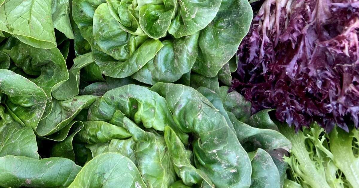 3 salad recipes to segue from winter to spring