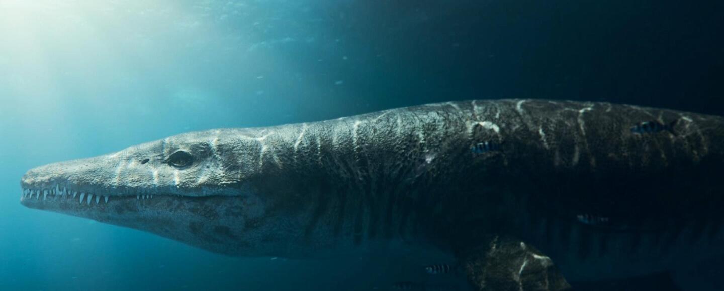 Discovering the Secrets of a Jurassic Sea Monster