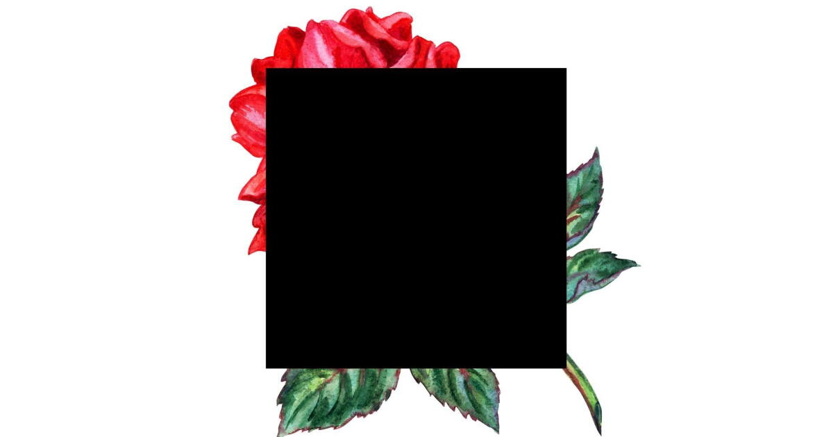 Art I Can't Show You
