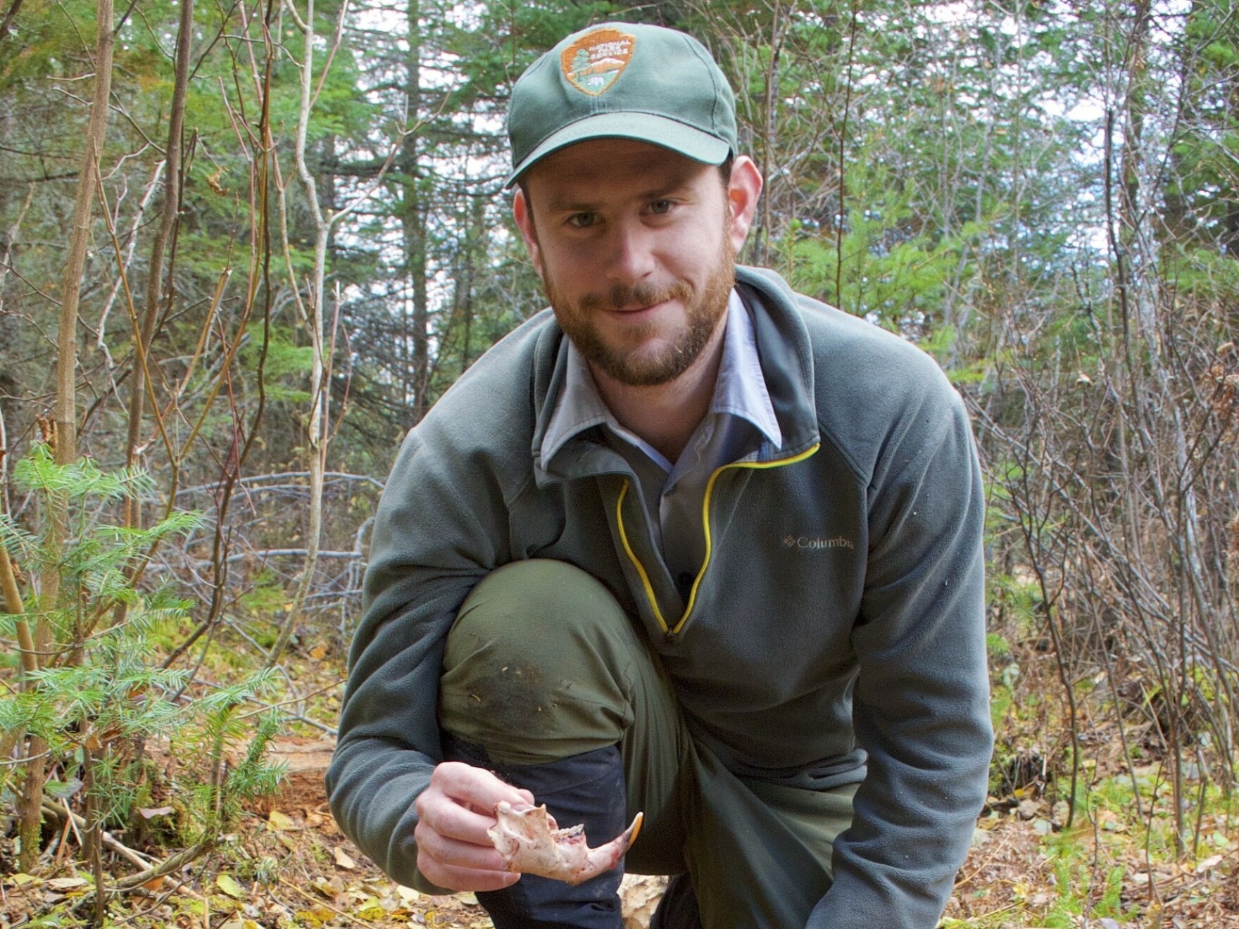 The Secret Fishing Habits Of Northwoods' Wolves