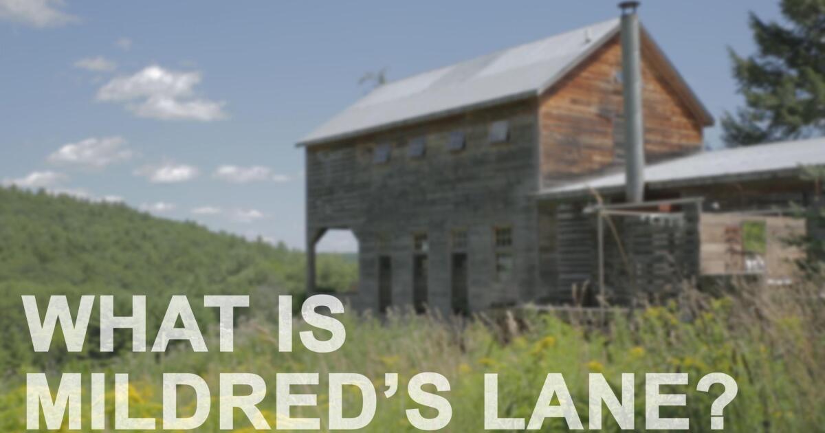 What is Mildred's Lane? | VPM