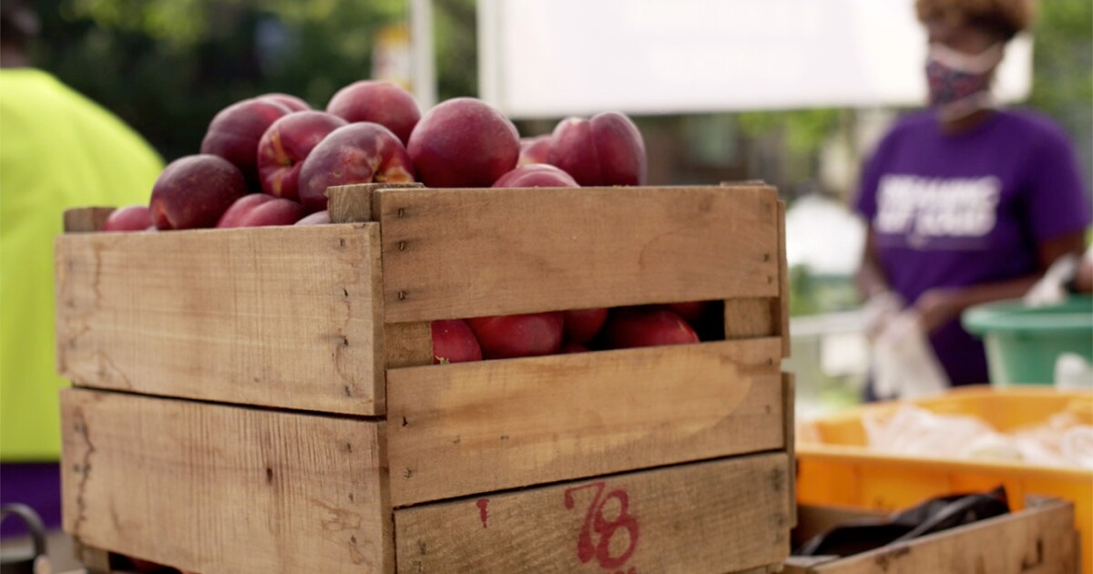 How to Break Down Barriers to Food Access with CSAs | VPM