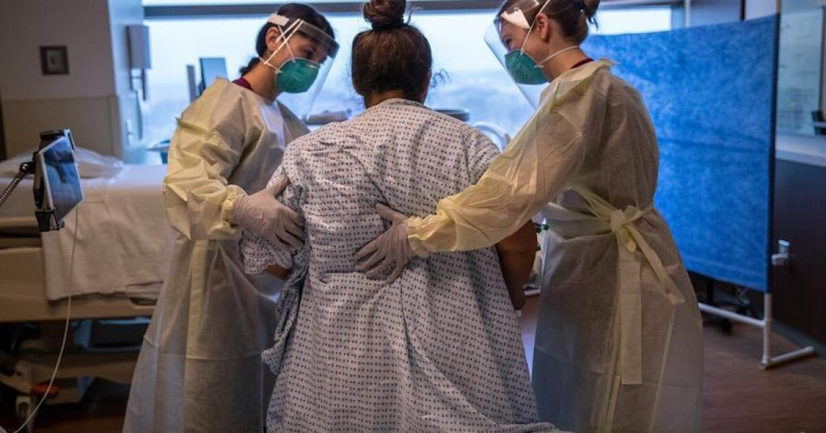 Love Life The Virus Preview